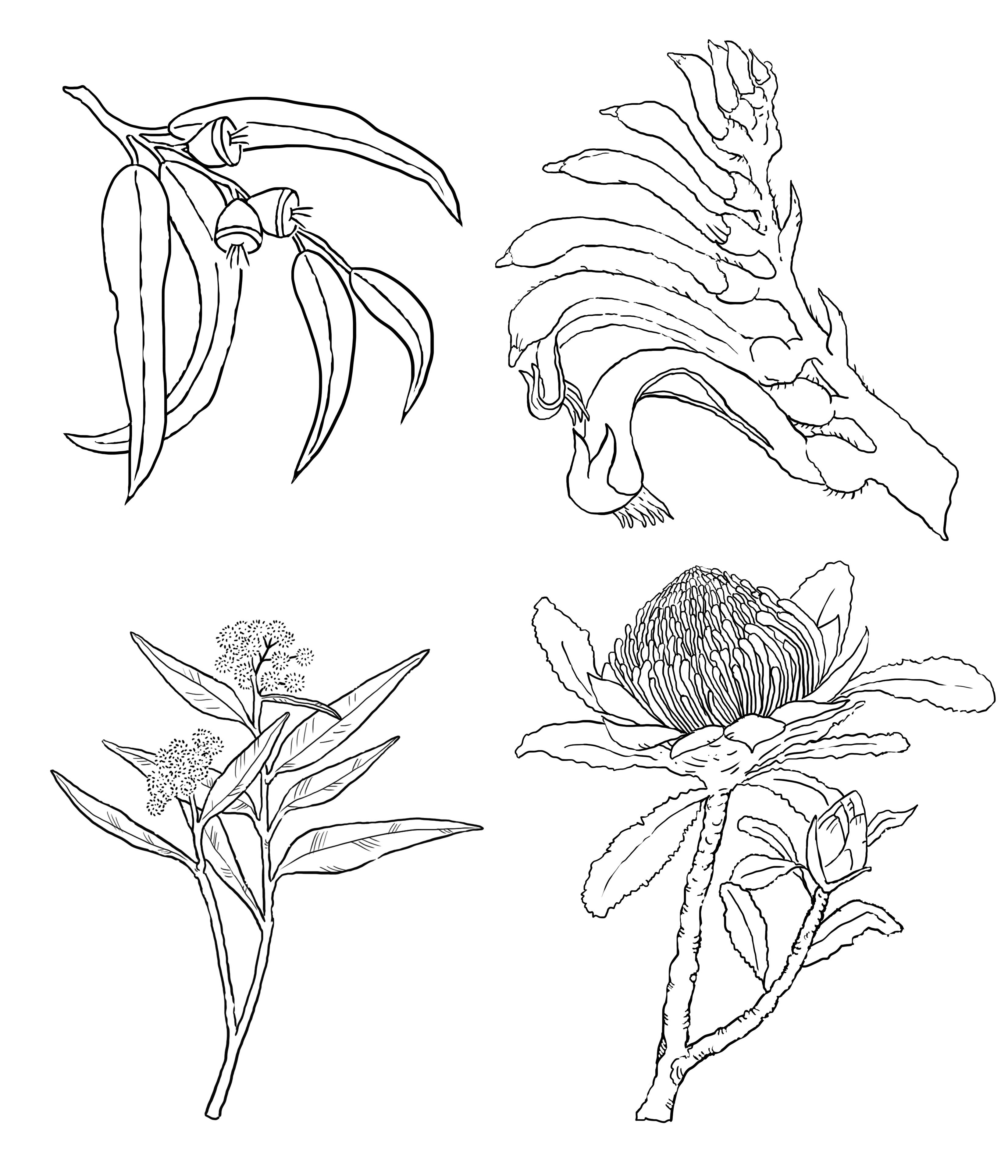 BOOK FAIR GARDEN | Scholastic New Zealand