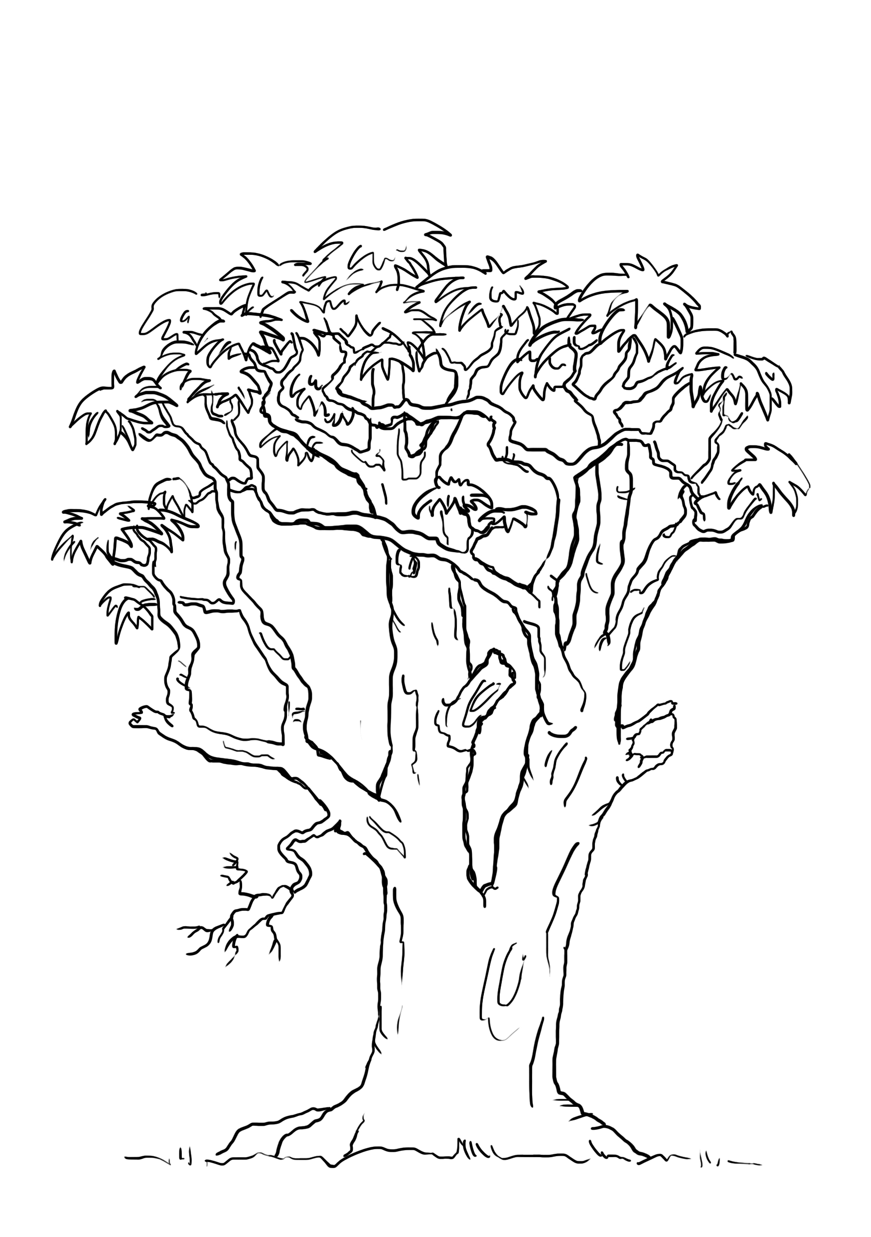 BOOK FAIR GARDEN | Scholastic New Zealand